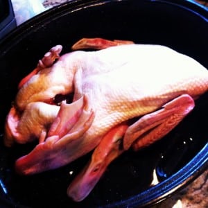 Pho and Roasted Duck (head intact) – Collab Kitchen